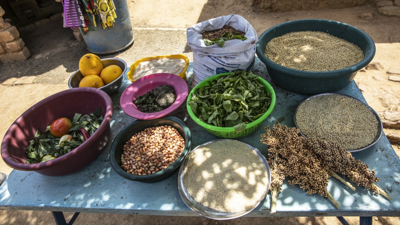 Supporting Food System Resilience for Thriving Communities - Centre for ...